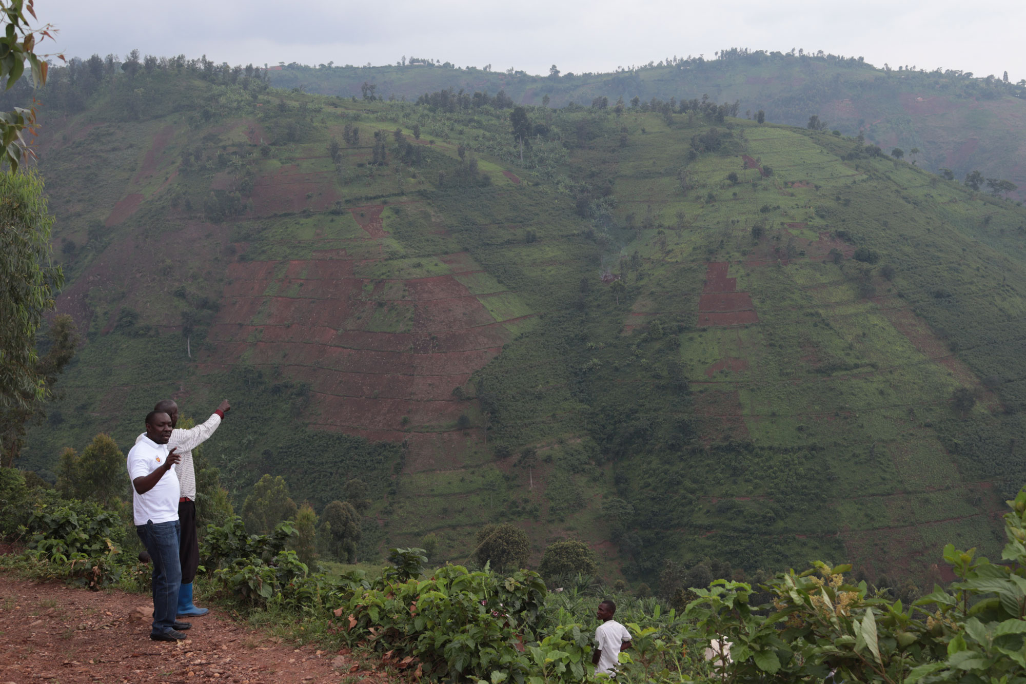 Resilience and Environment Protection | Empowering Response Burundi